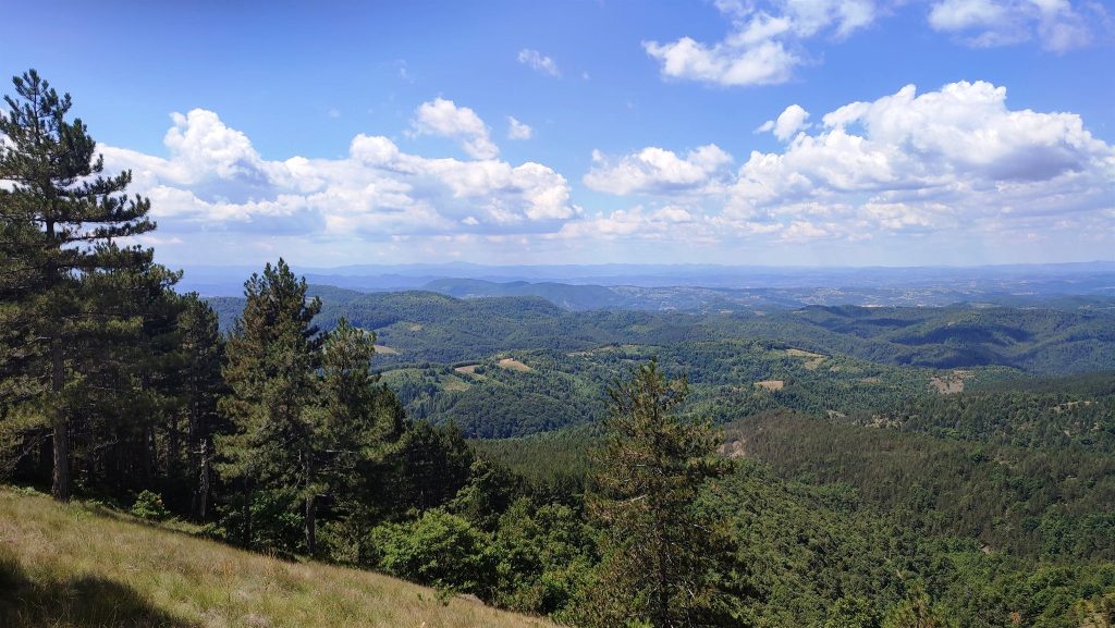 Naredni mjesec počinje istraživanje biodiverziteta planine Ozren ...